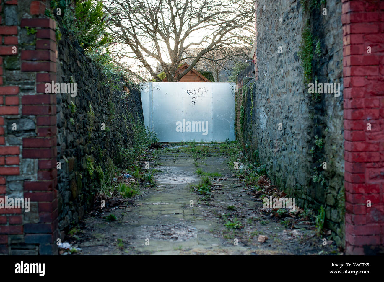 Disused lane with steel gate Stock Photo - Alamy