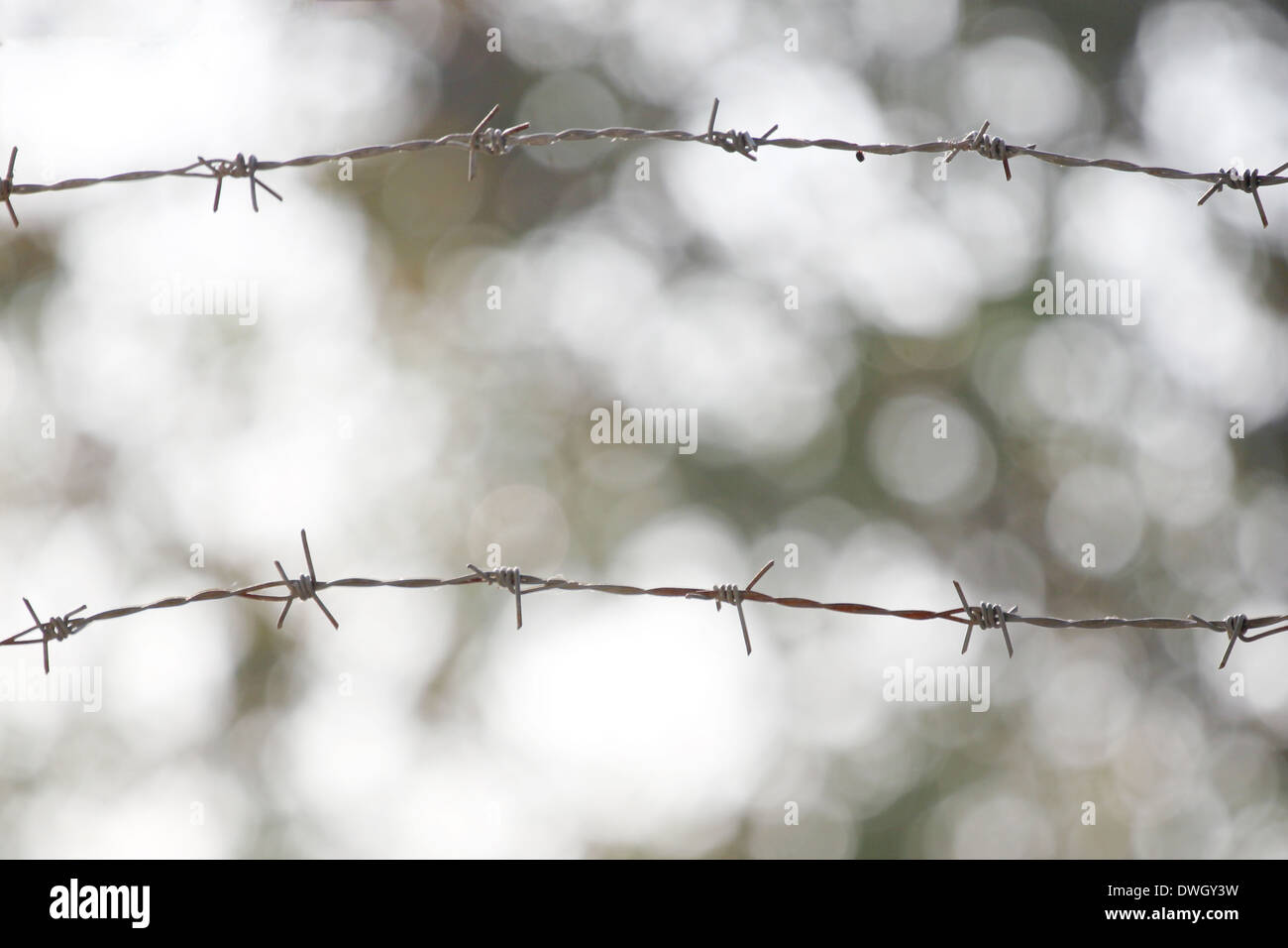 Wire fence background hi-res stock photography and images - Alamy