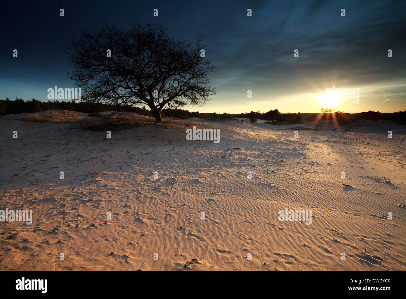 Gold sunshine hi-res stock photography and images - Alamy