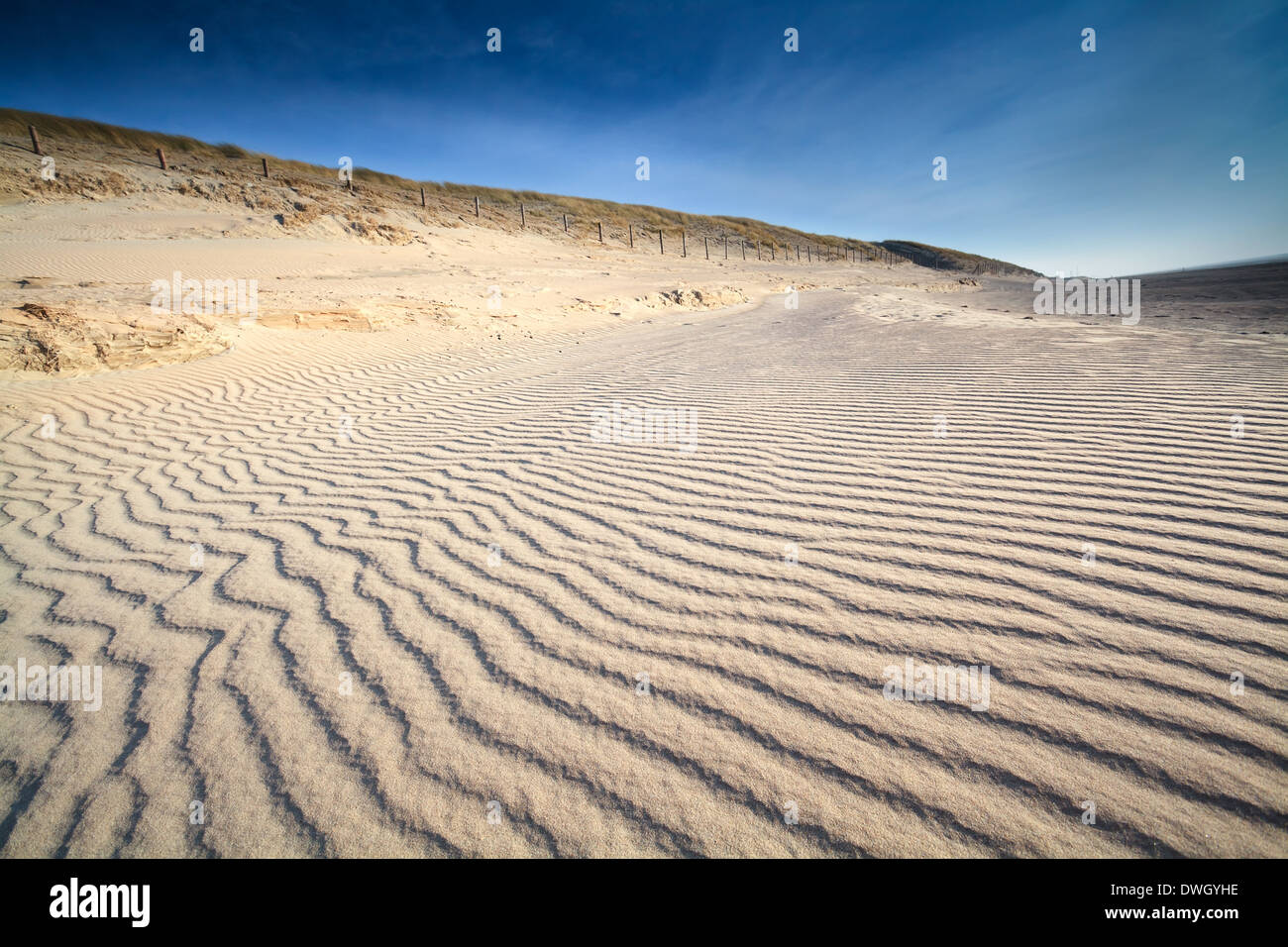sand wave texture on North sea beach, Zandvoort aan Zee, North Holland ...