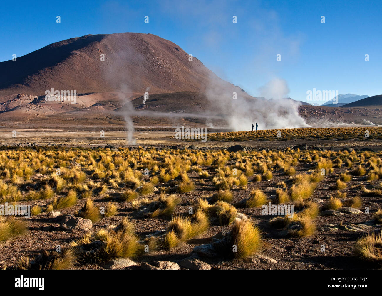 The El Tatio geyser field - Andes Mountains of northern Chile Stock ...