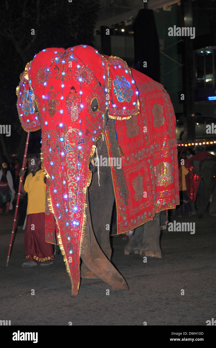 Sri Lanka; Colombo, Navam Perahera, festival, elephant Stock Photo - Alamy