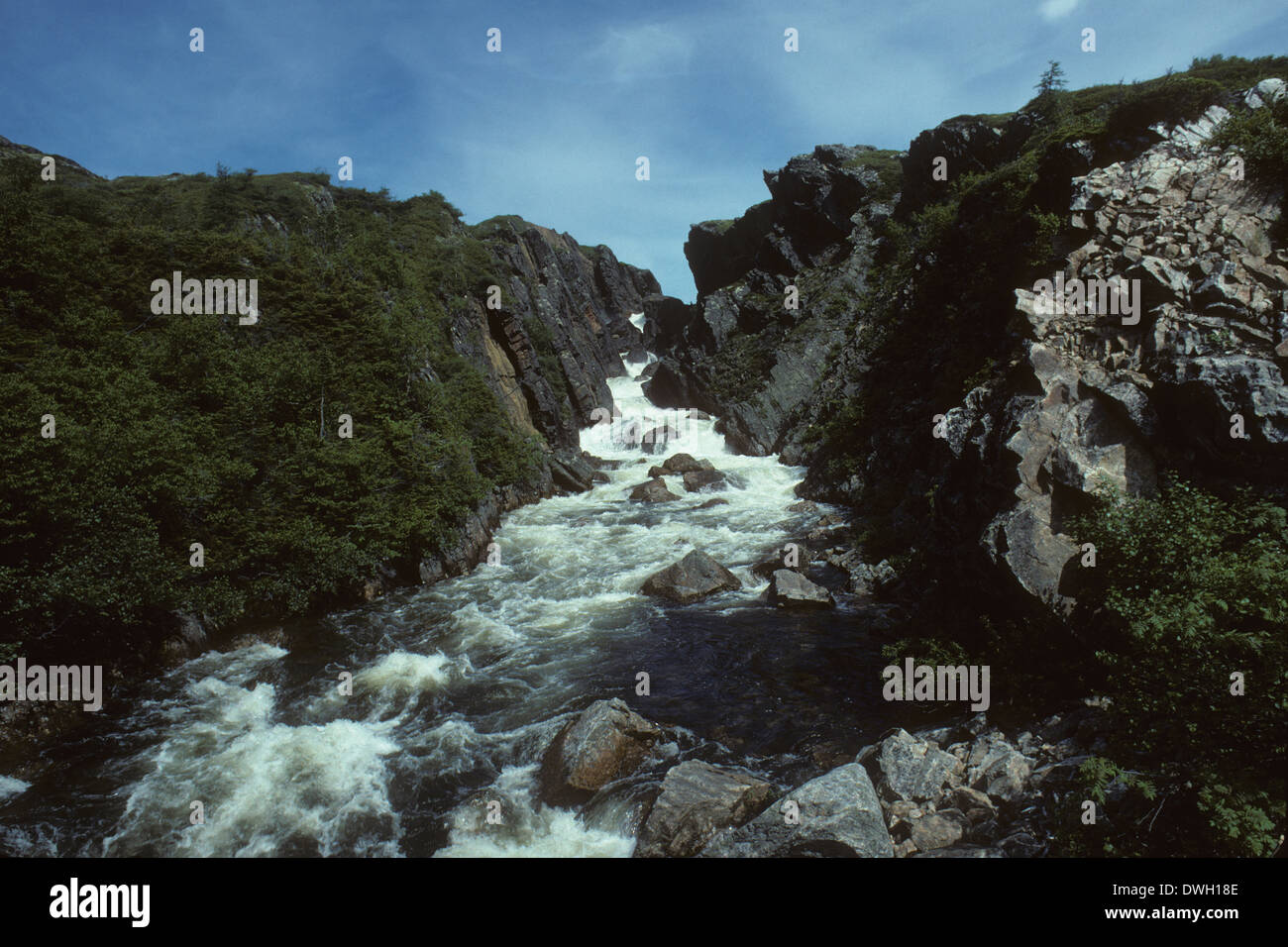 Labrador straits hi-res stock photography and images - Alamy