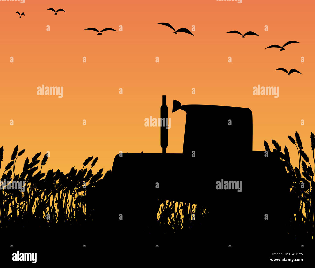 A tractor in silhouette standing in a field of crops Stock Photo - Alamy