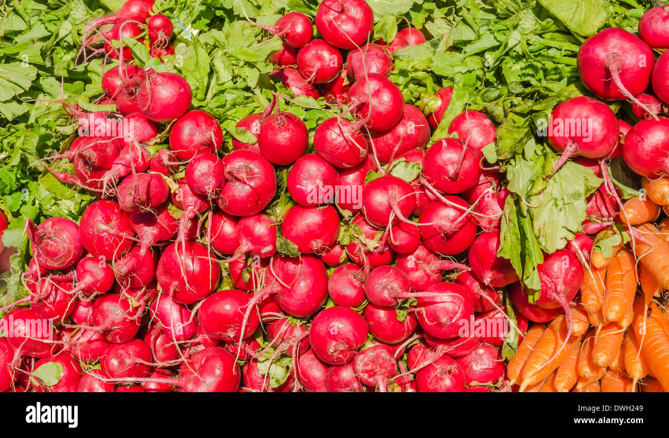 Pile of freshness radish Stock Photo - Alamy