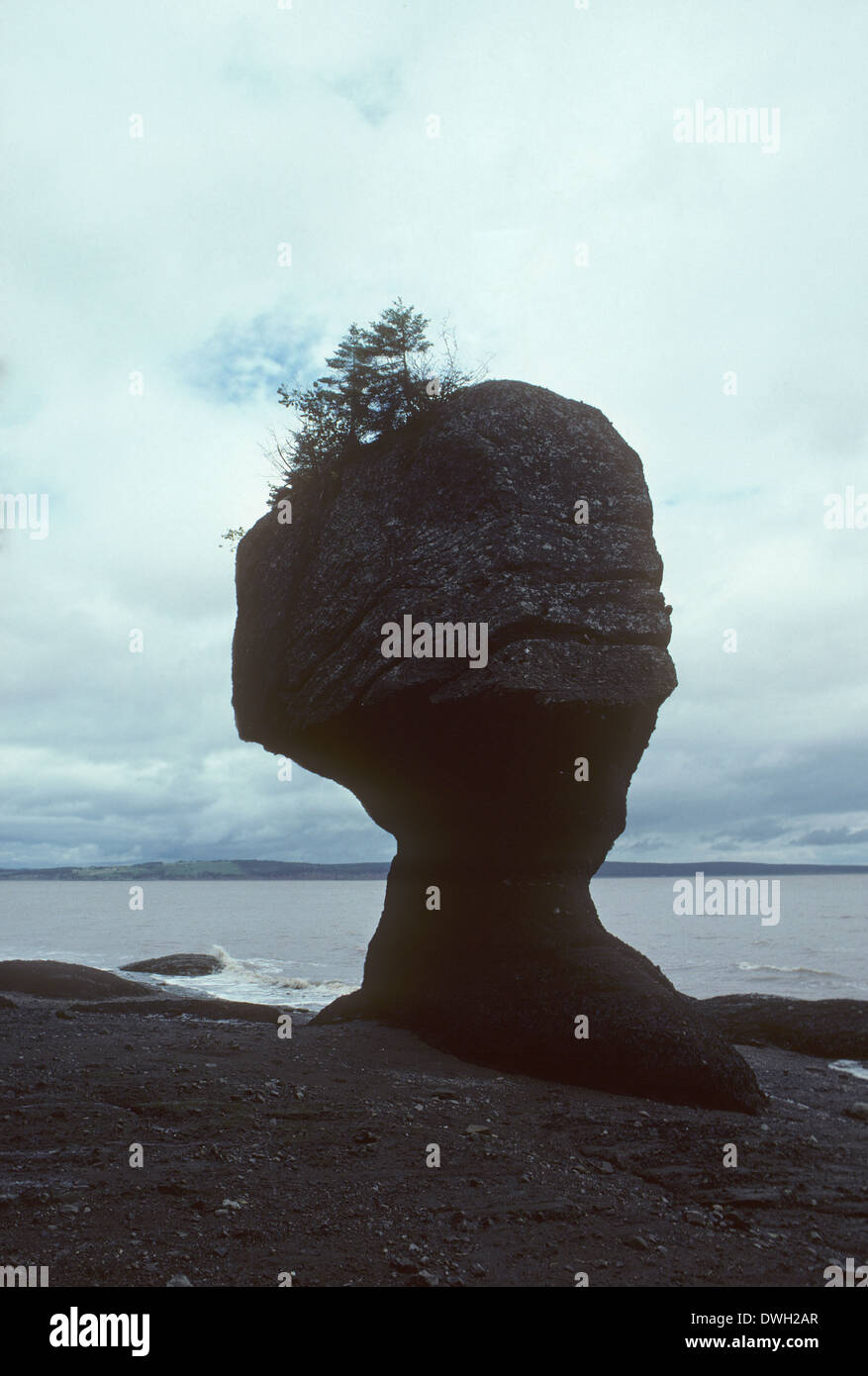 Flowerpot rock, Hopewell Rocks, Bay of Fundy tides, New Brunswick ...