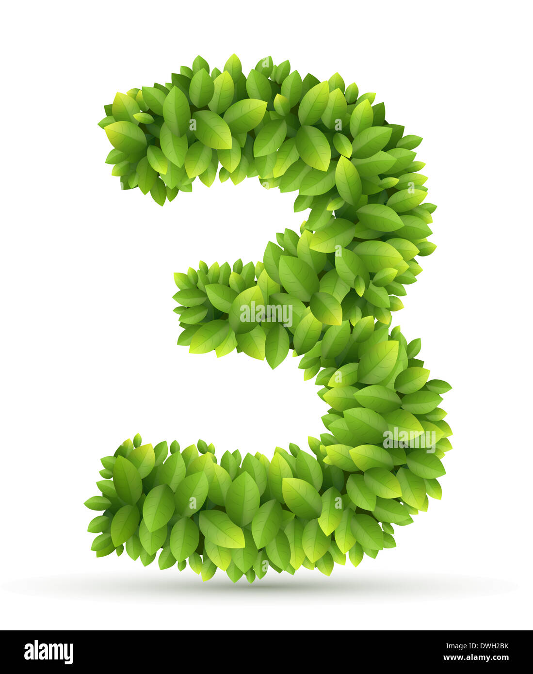 Number 3 leaves hi-res stock photography and images - Alamy
