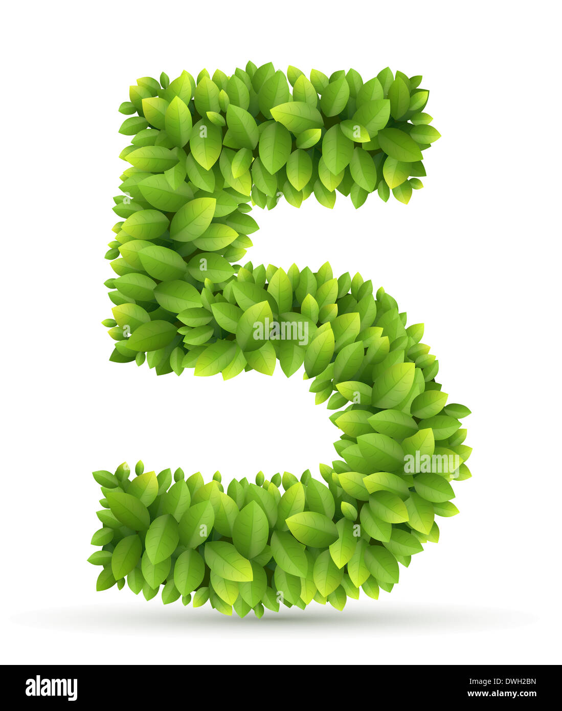 Plant green tape leaves Cut Out Stock Images & Pictures - Alamy