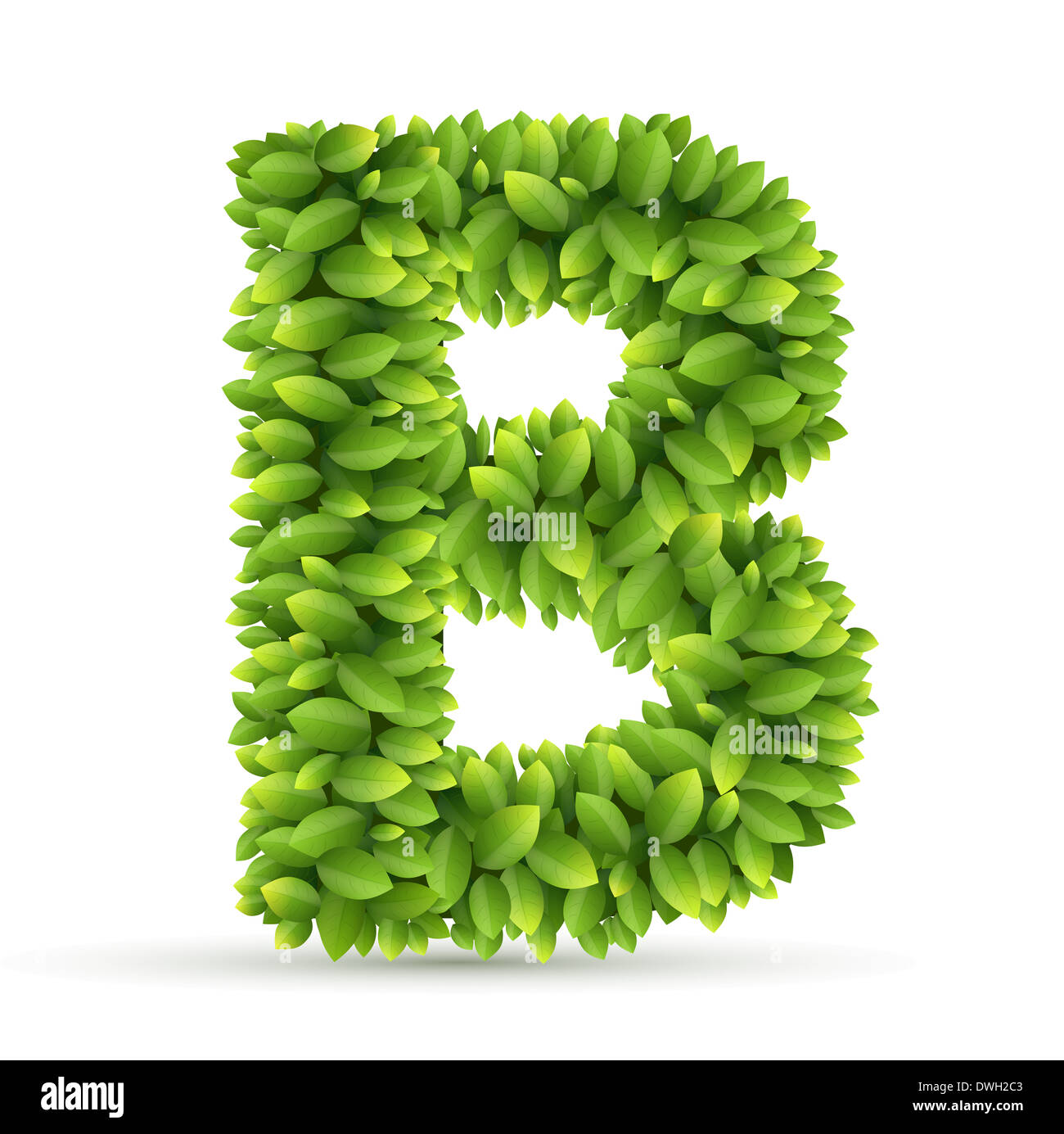 Letter b leaves hi-res stock photography and images - Alamy