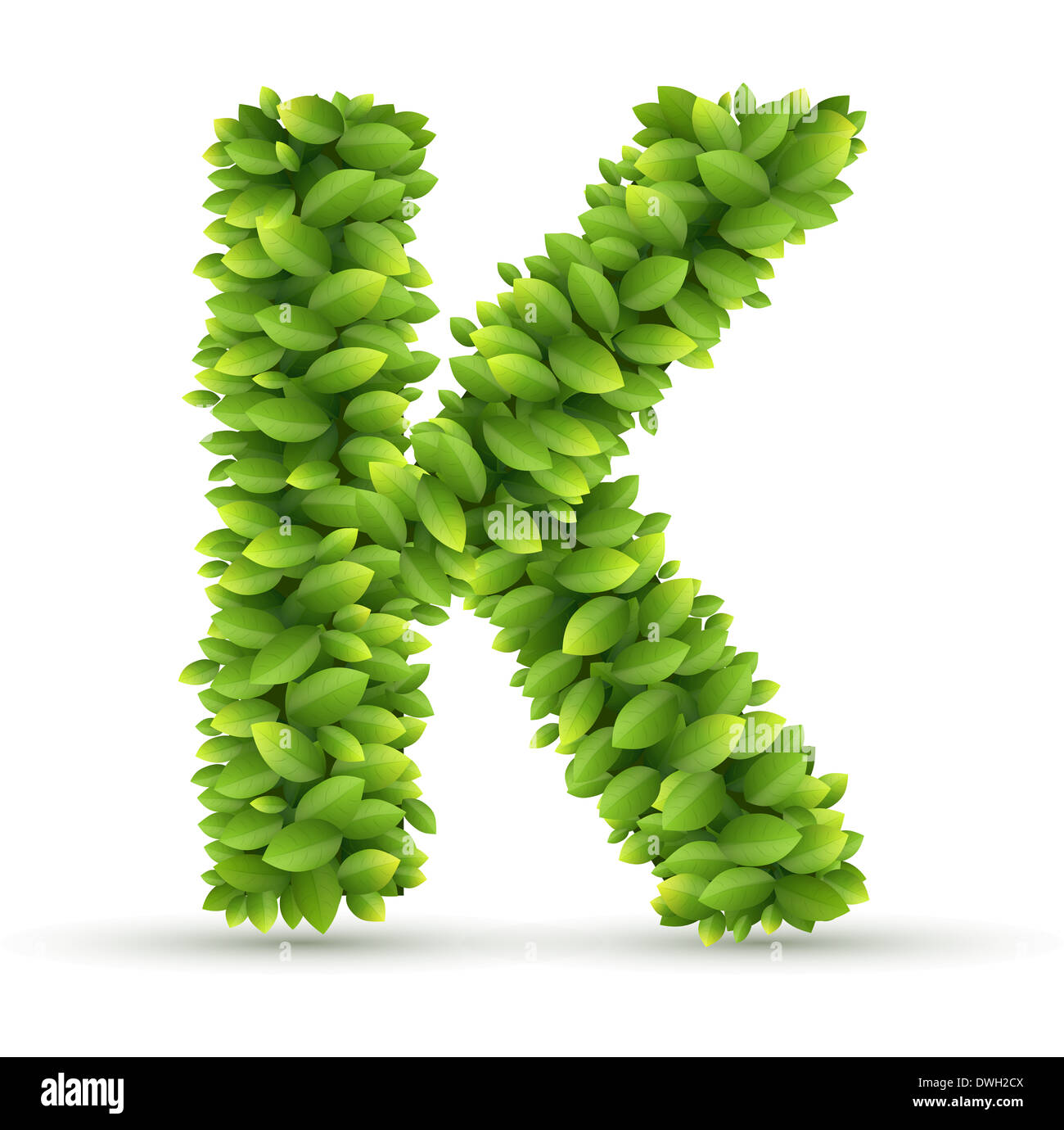 Letter K In Nature