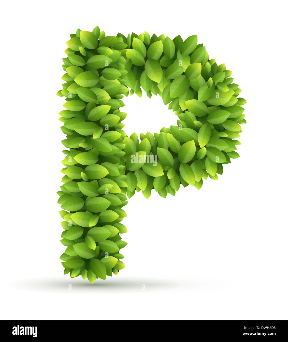 Letter P Plant High Resolution Stock Photography and Images - Alamy