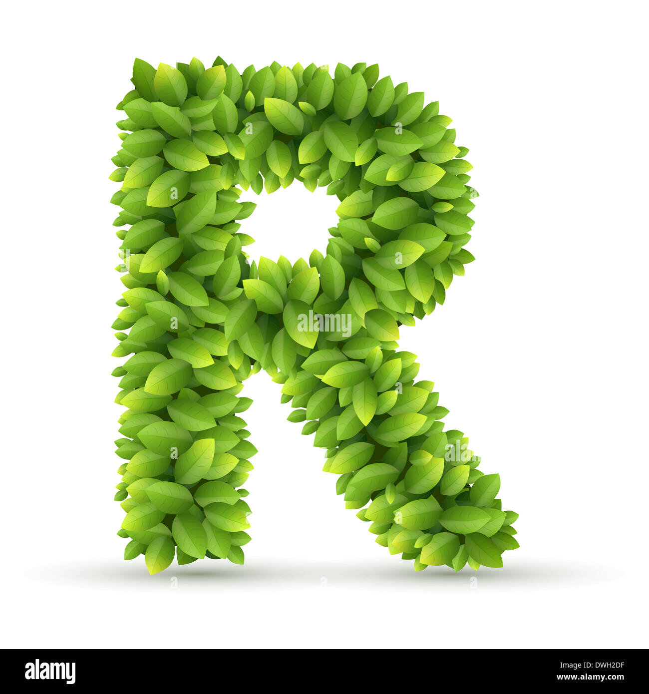 Letter R, vector alphabet of green leaves Stock Photo - Alamy