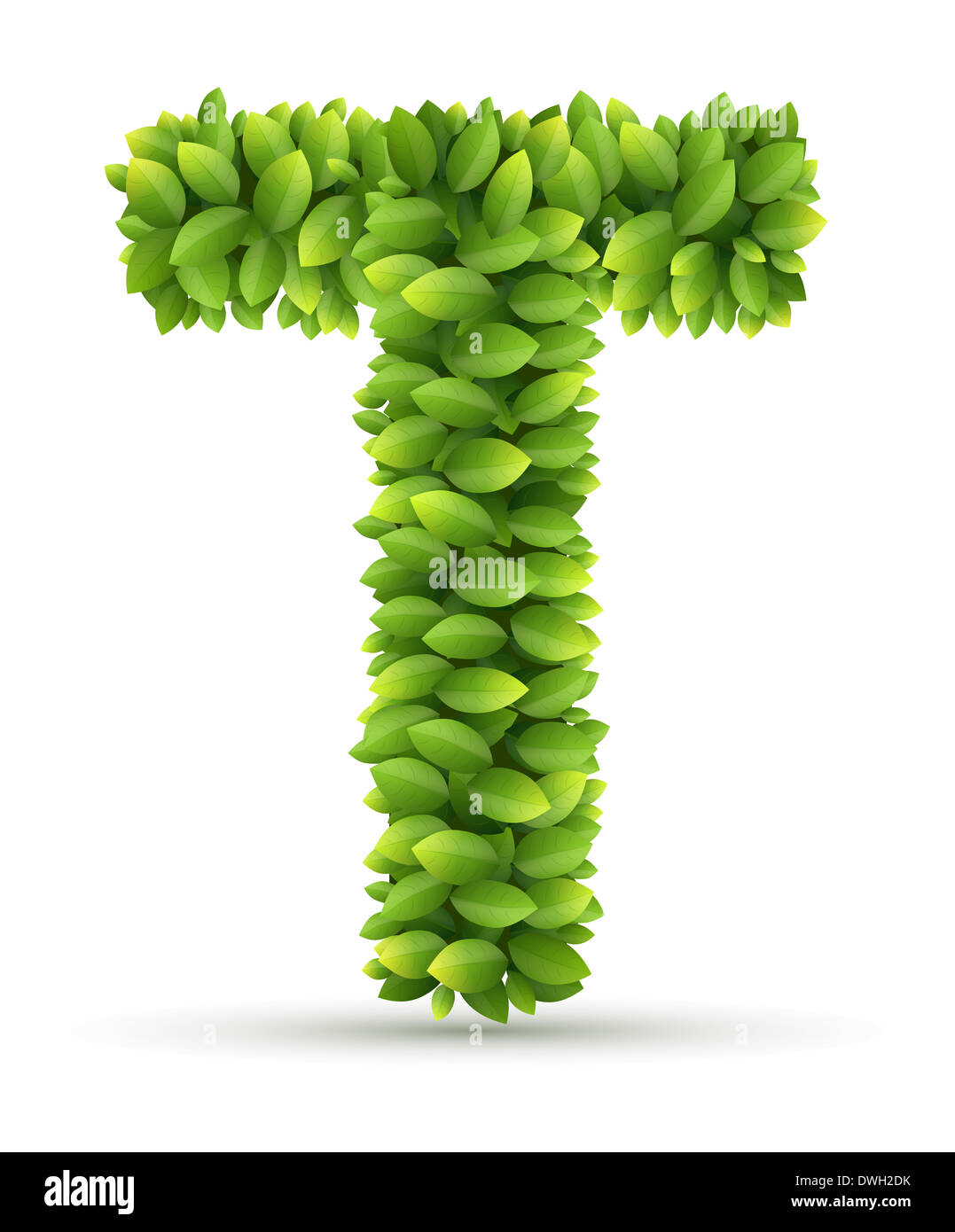 Letter T, vector alphabet of green leaves Stock Photo - Alamy