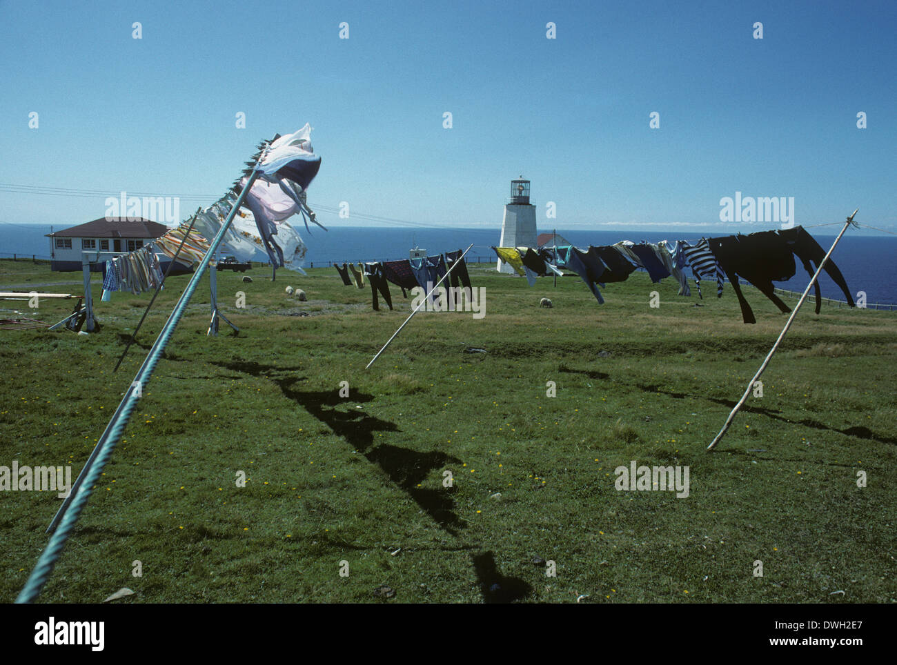 Clotheslines and Cape St. Mary, Newfoundland, Canada Stock Photo - Alamy