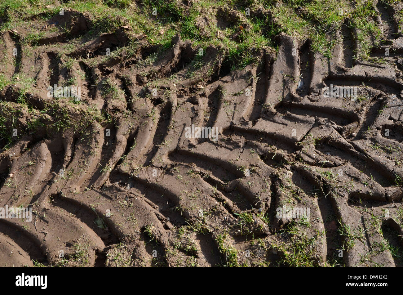 Mud field impressions hi-res stock photography and images - Alamy