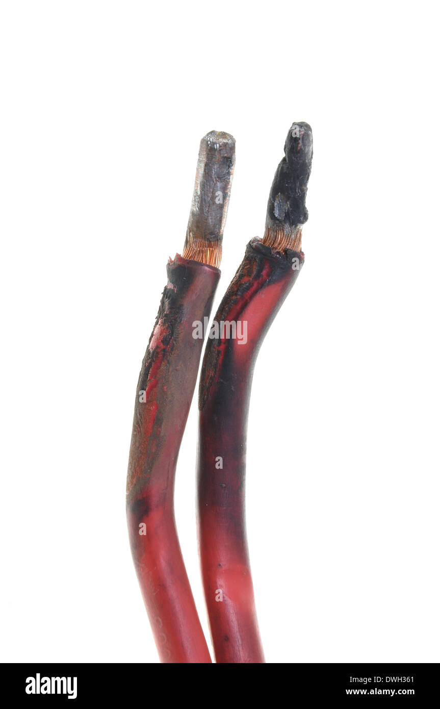 Damage to the cables in electrical power networks Stock Photo - Alamy