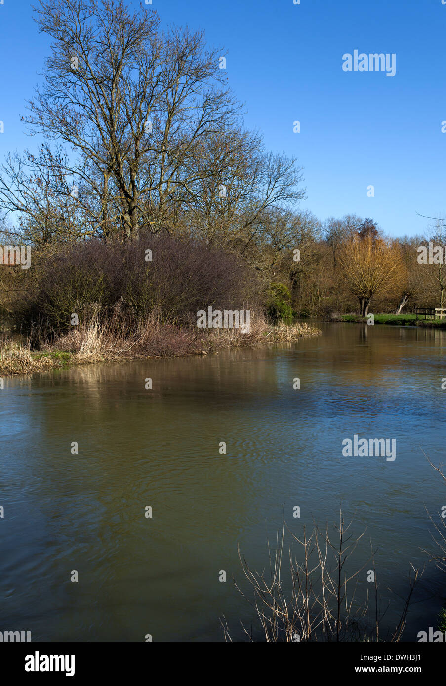 River Stour in Dedham Vale Stock Photo - Alamy