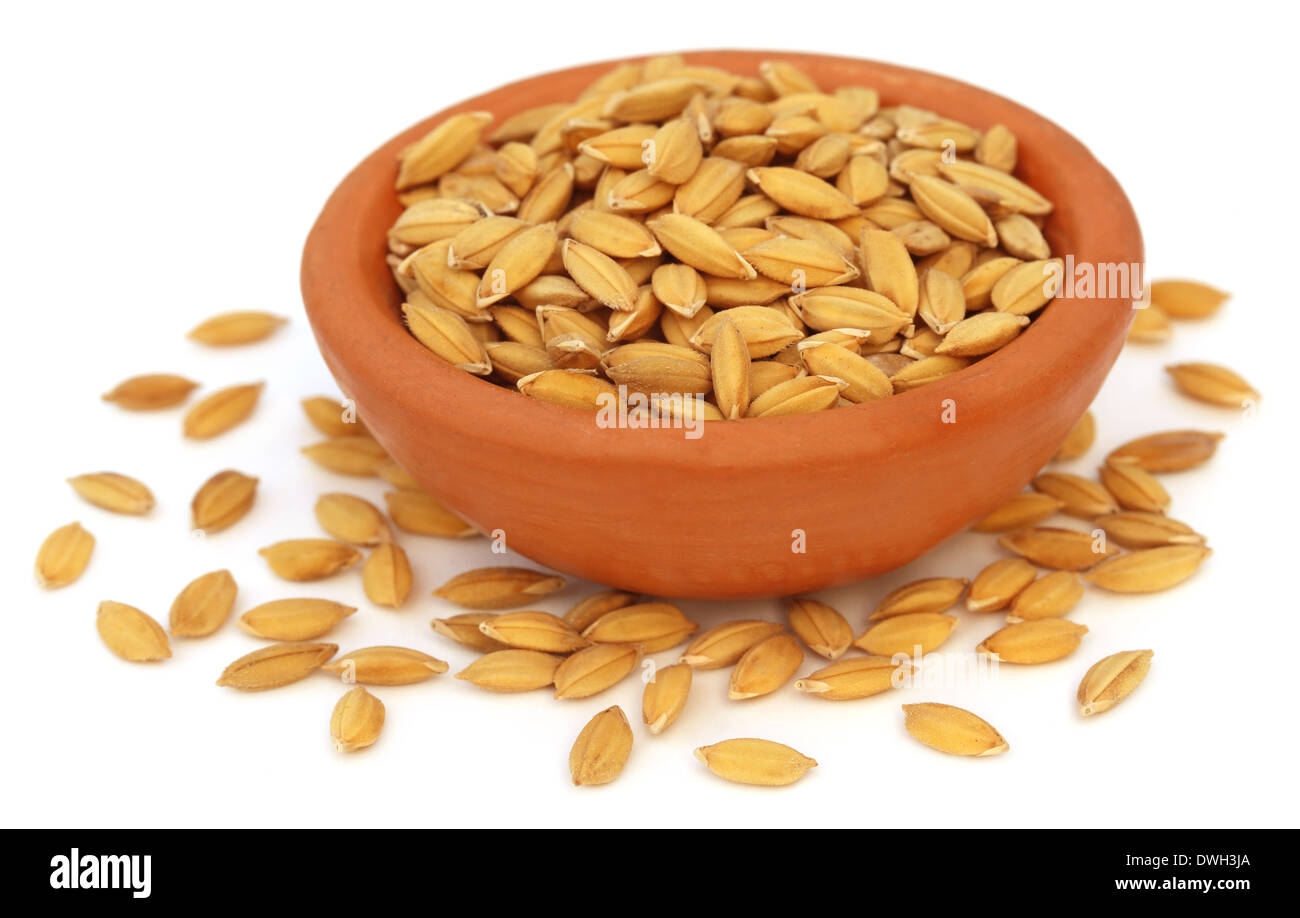 Paddy seeds on clay pot over white background Stock Photo - Alamy