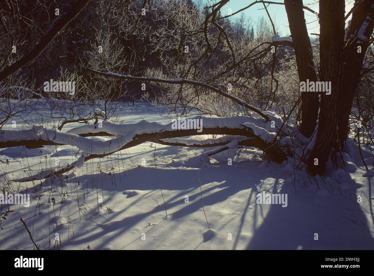 Frosty riverbank, Tomifobia River, Beebe, Quebec, Canada Stock Photo ...