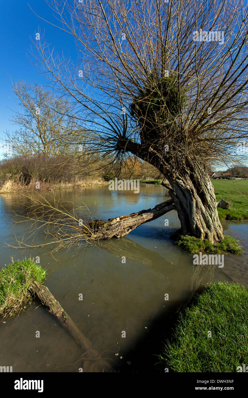 River Stour in Dedham Vale Stock Photo - Alamy