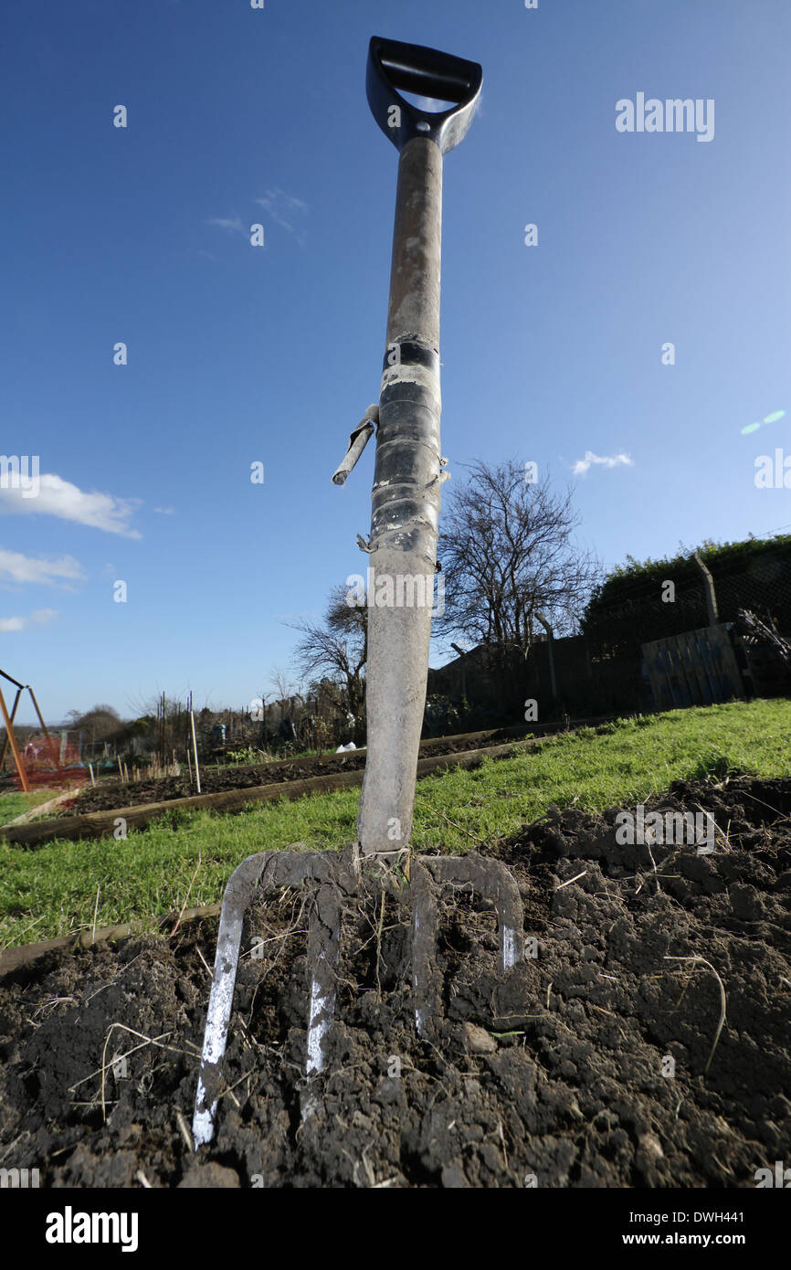 A fork in the ground, on an allotment Stock Photo - Alamy