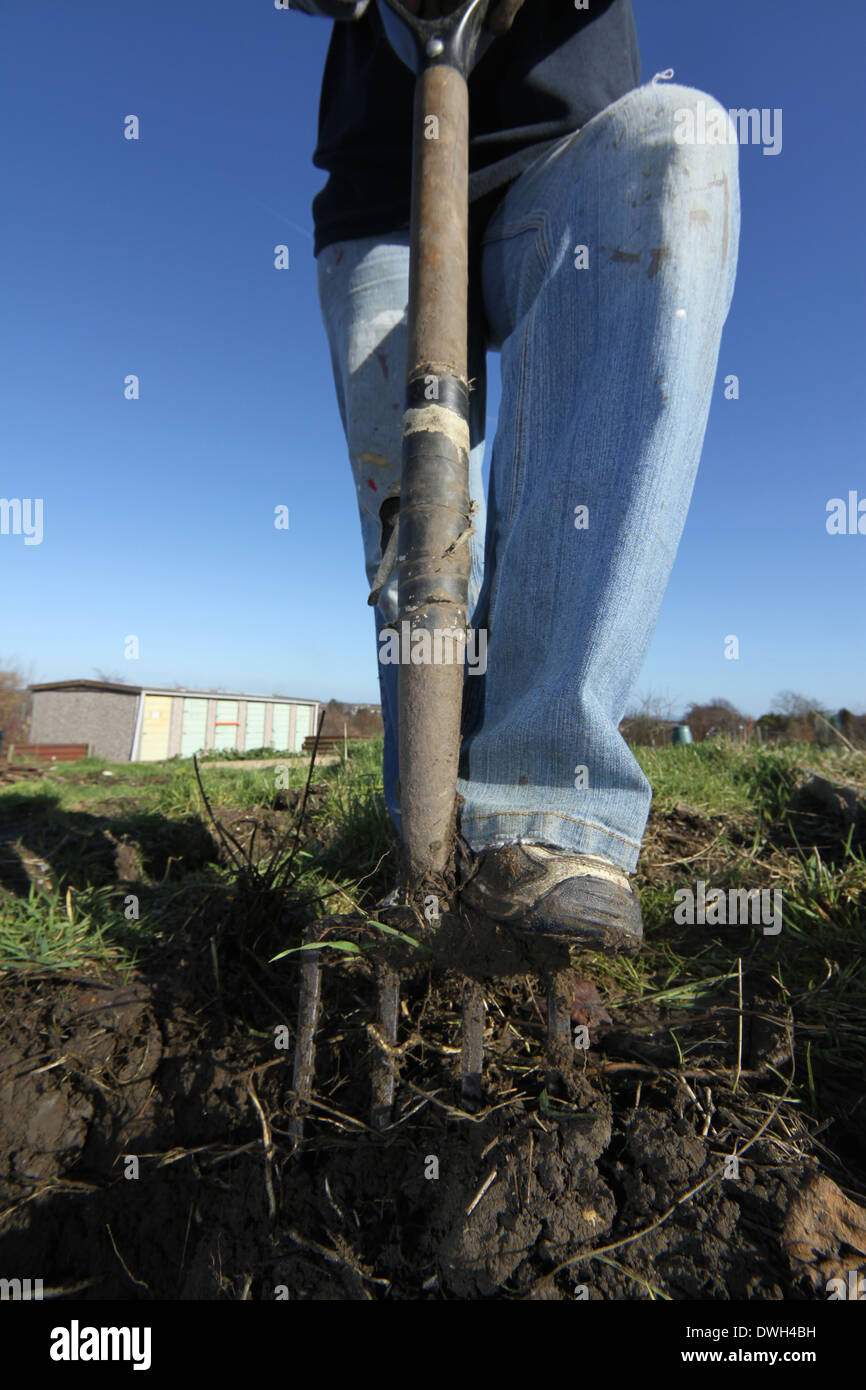 Digging fork hi-res stock photography and images - Alamy