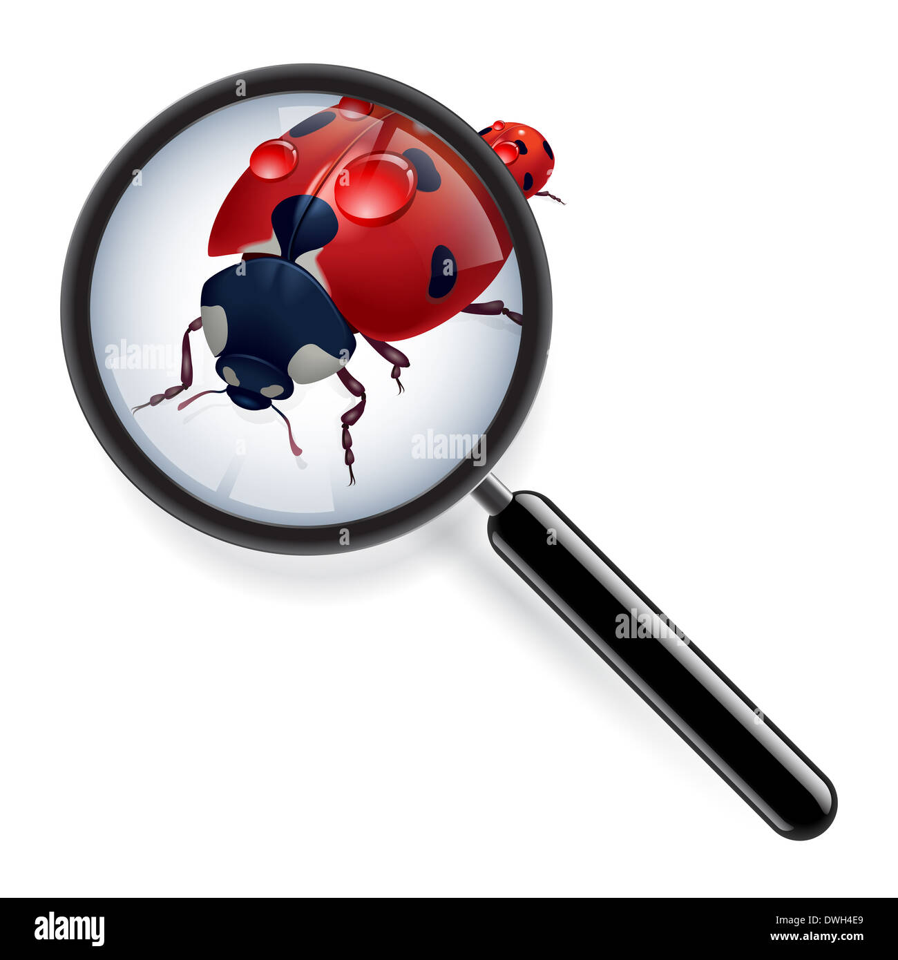 Ladybug and zoom. Illustration of the designer on a white background ...