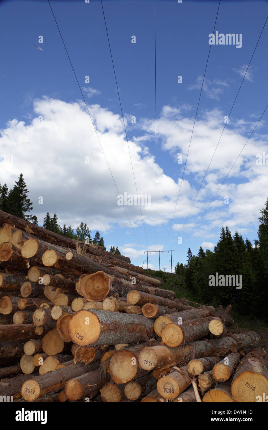 Scandinavian timber mills hi-res stock photography and images - Alamy