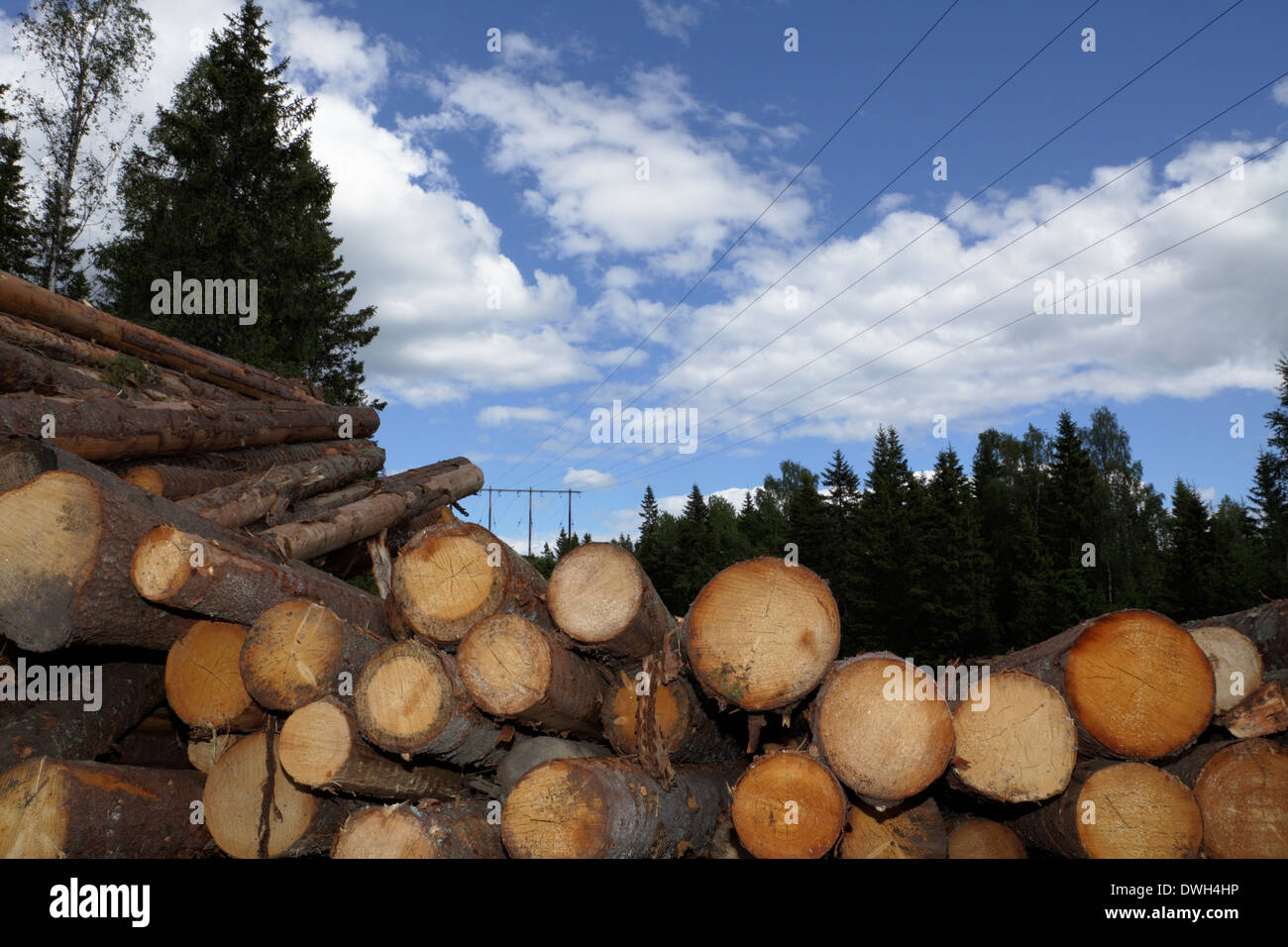Scandinavian timber mills hi-res stock photography and images - Alamy