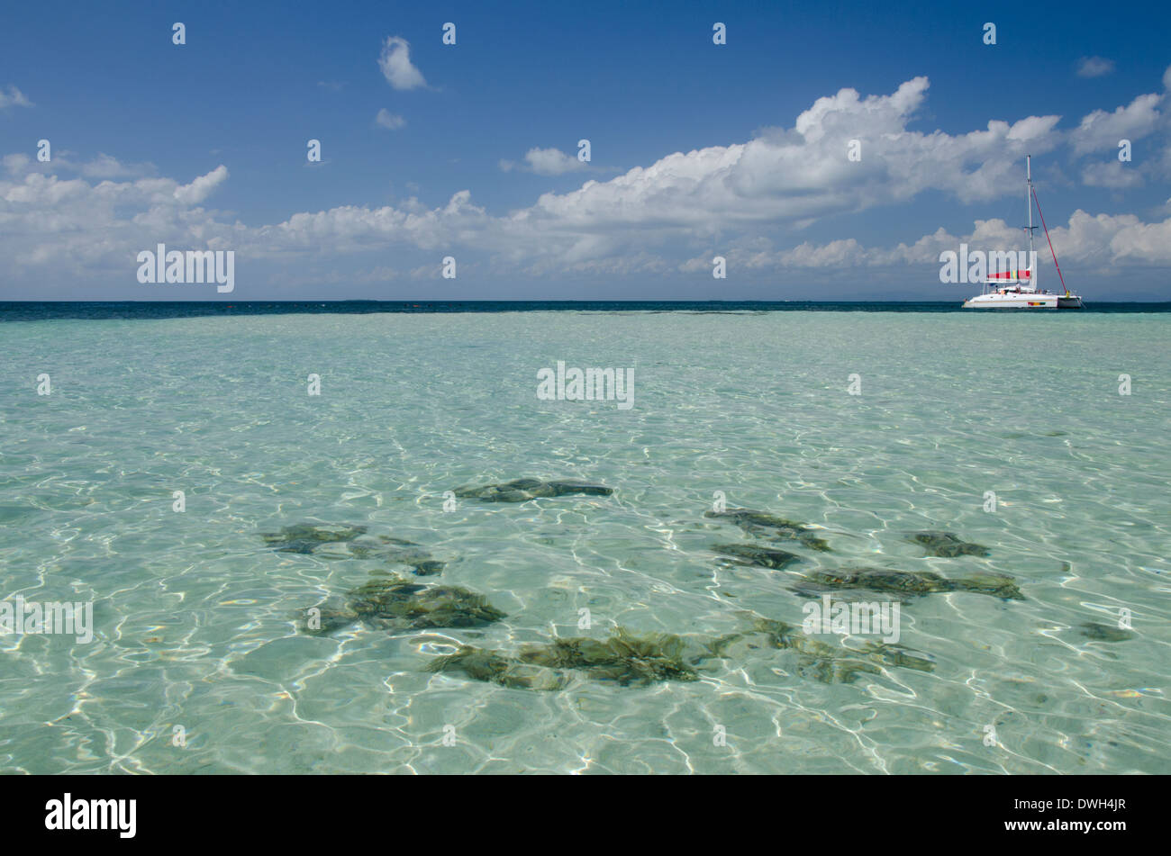 Stann creek district hi-res stock photography and images - Alamy