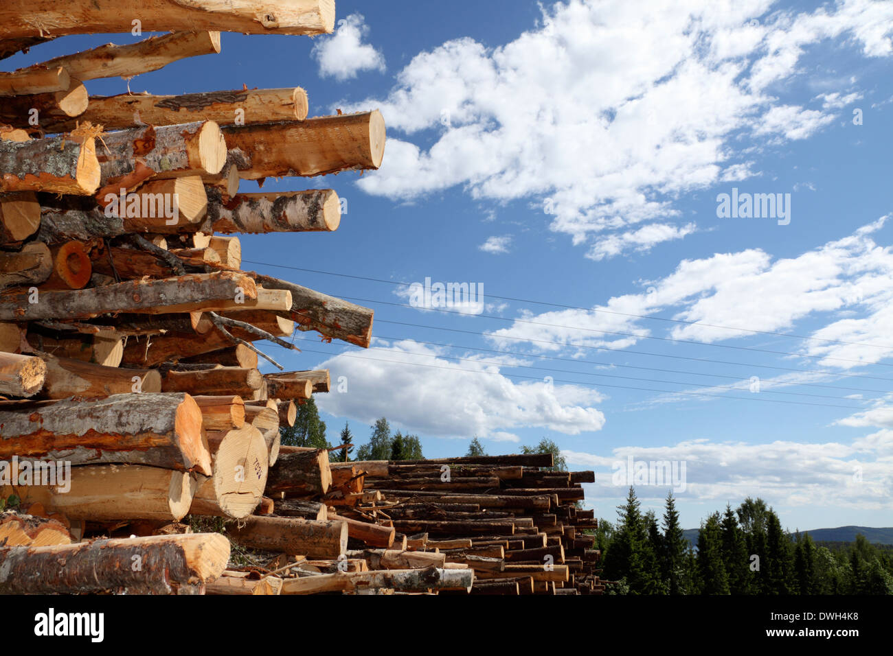 Scandinavian timber mills hi-res stock photography and images - Alamy