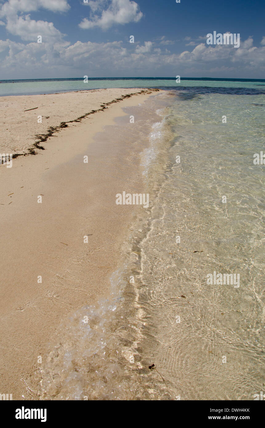 Belize, Stann Creek District. South Water Caye (UNESCO), 12-acre ...