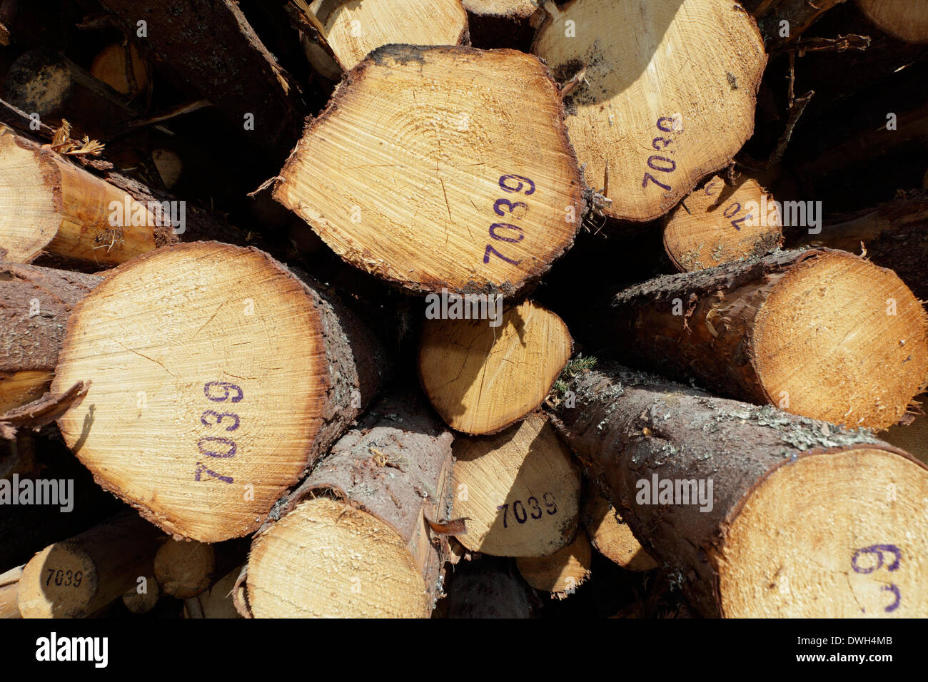 Scandinavian timber mills hi-res stock photography and images - Alamy