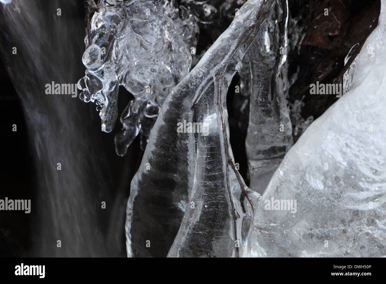 Delicate ice formations hi-res stock photography and images - Alamy