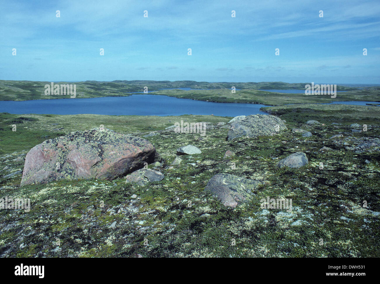 Lake and tundra, Labrador Straits, Labrador, Newfoundland, Canada Stock ...