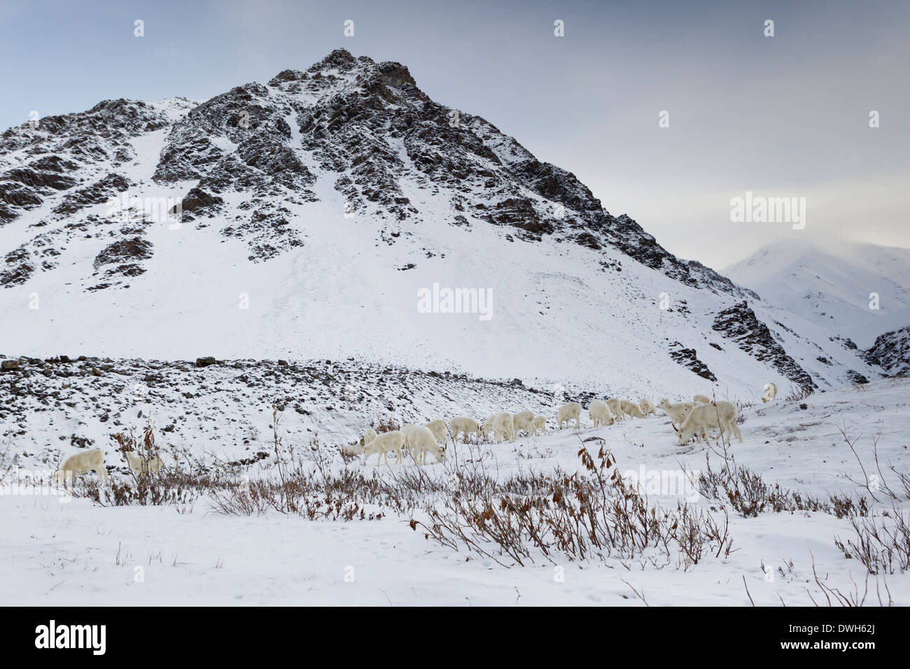 Alaska atigun pass range dalton hi-res stock photography and images - Alamy