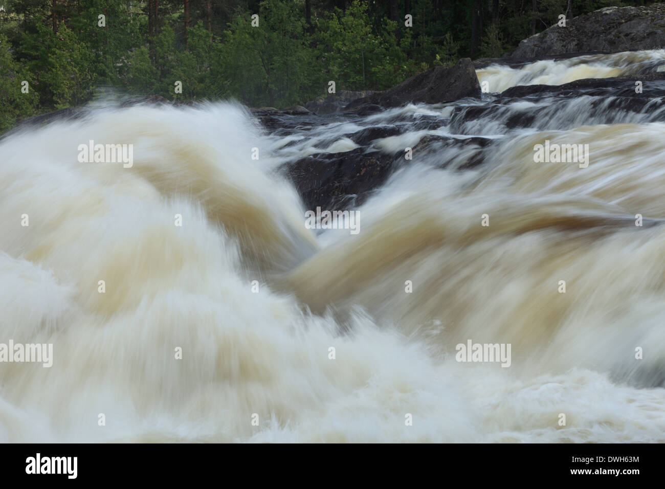 Gushing water and splashing waves in a whitewater river Stock Photo - Alamy