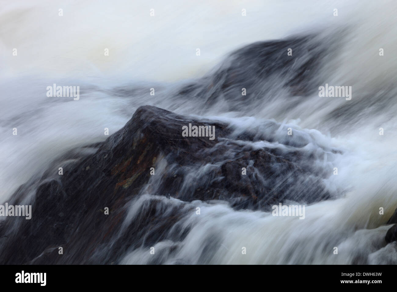 Gushing water and splashing waves in a whitewater river Stock Photo - Alamy