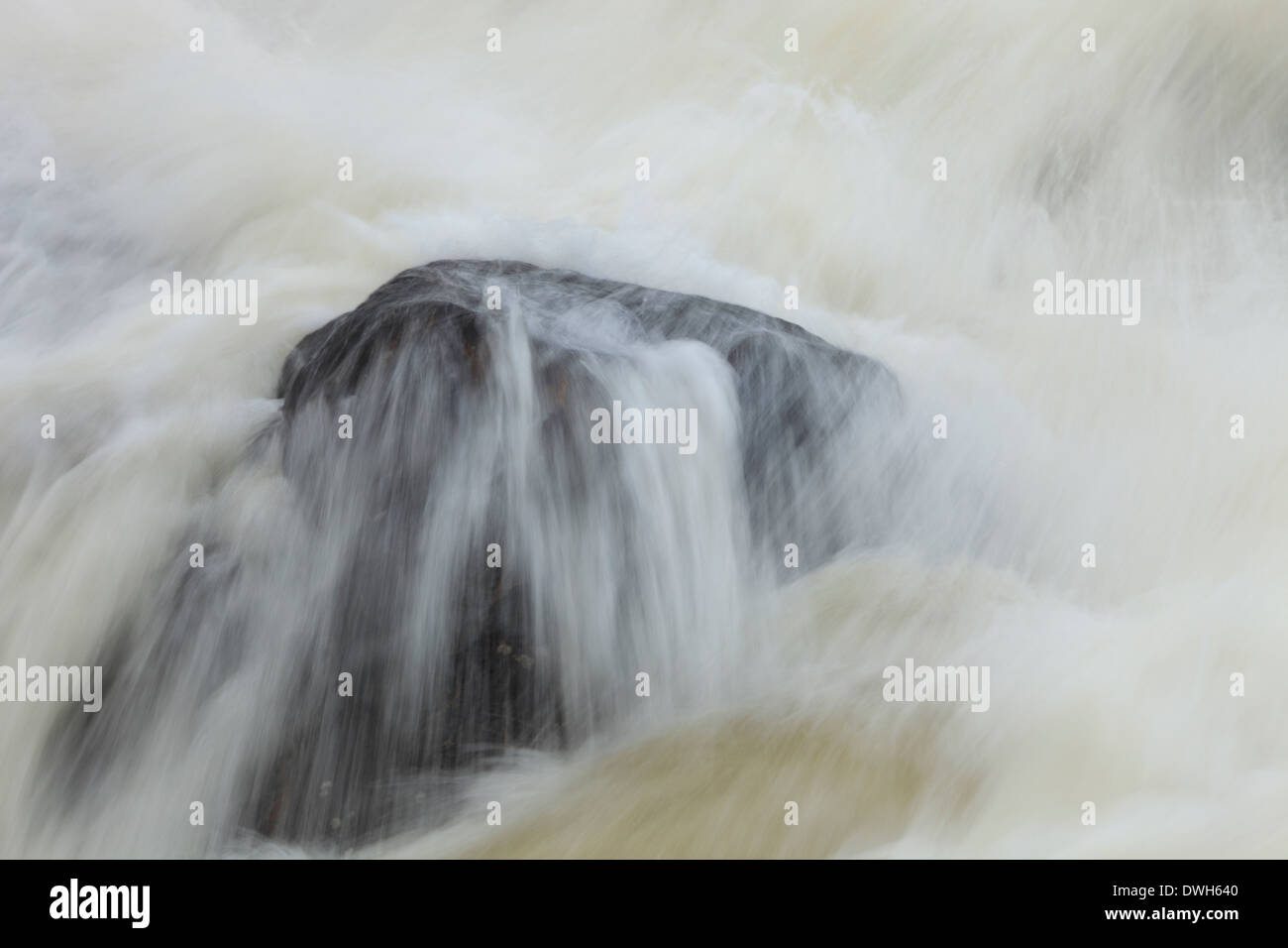 Gushing water and splashing waves in a whitewater river Stock Photo - Alamy