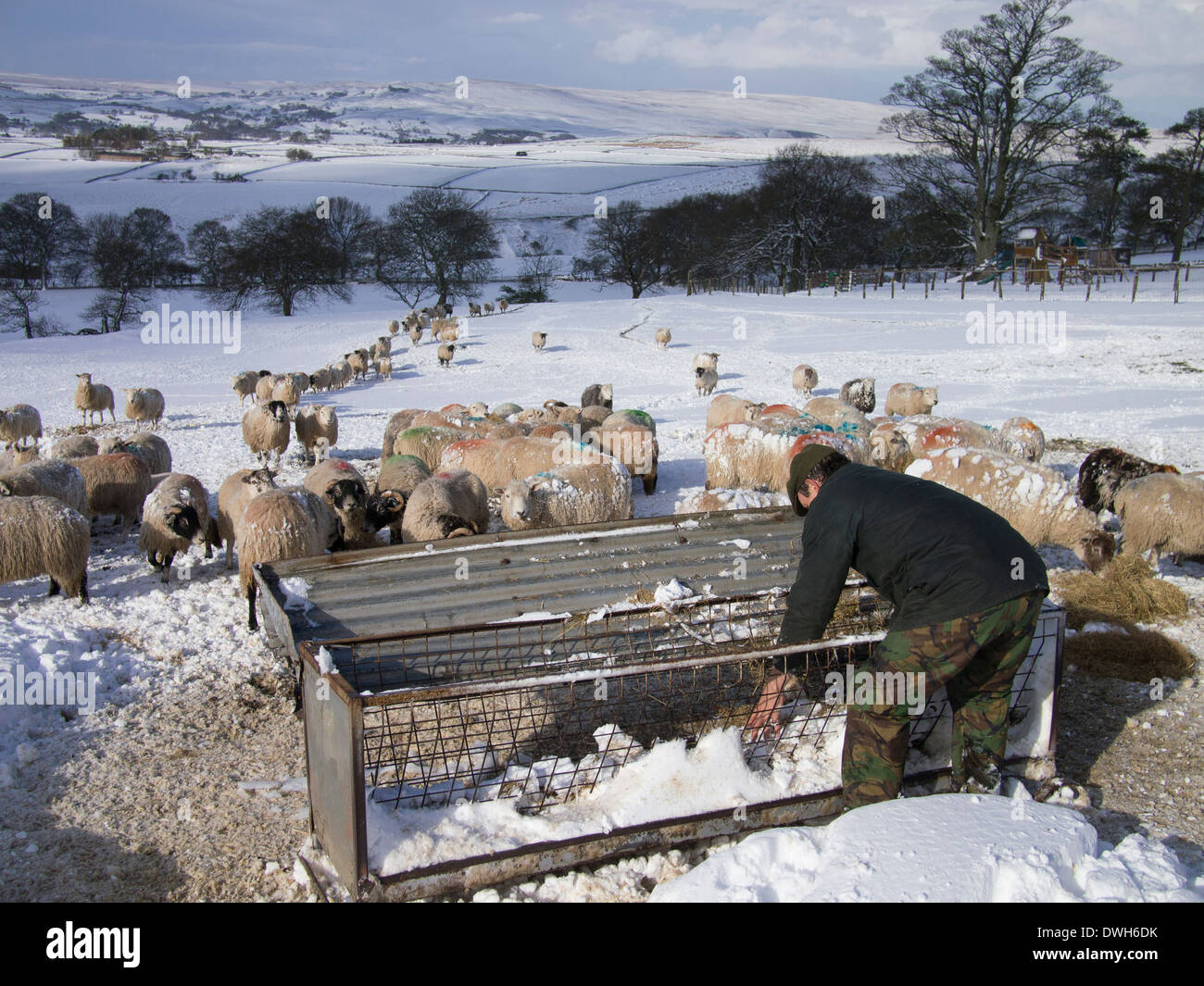 Hill farmer and sheep hi-res stock photography and images - Alamy