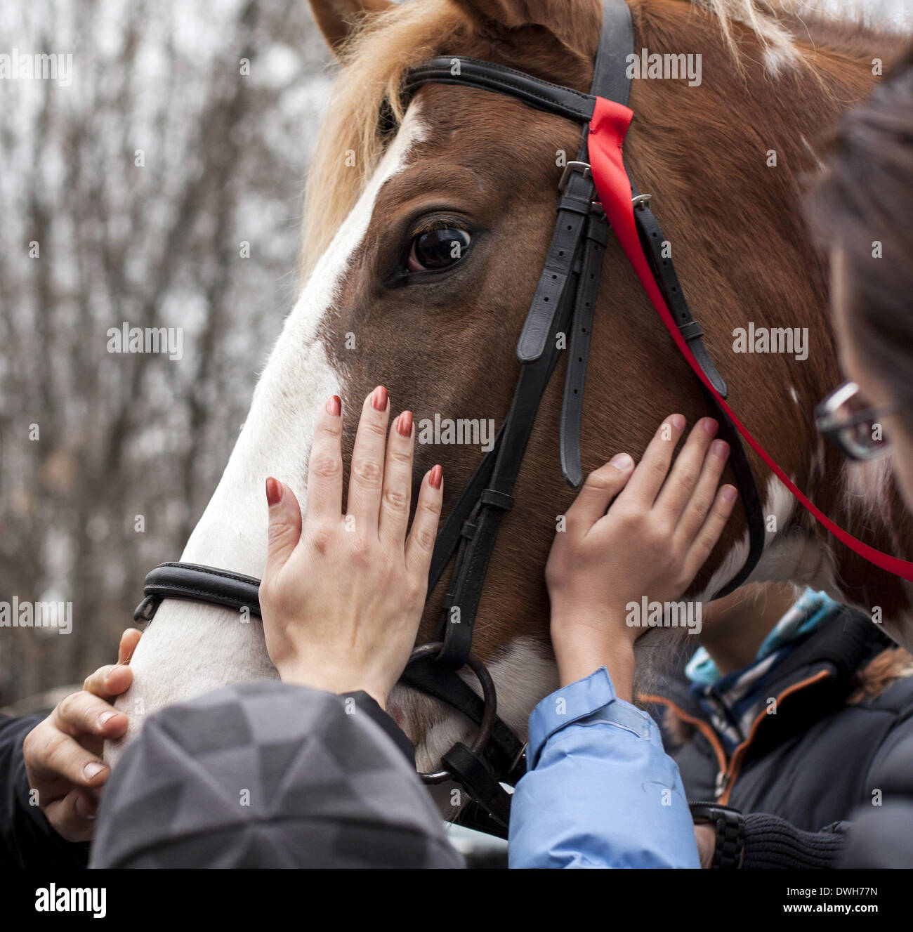 Theodore lent hi-res stock photography and images - Alamy