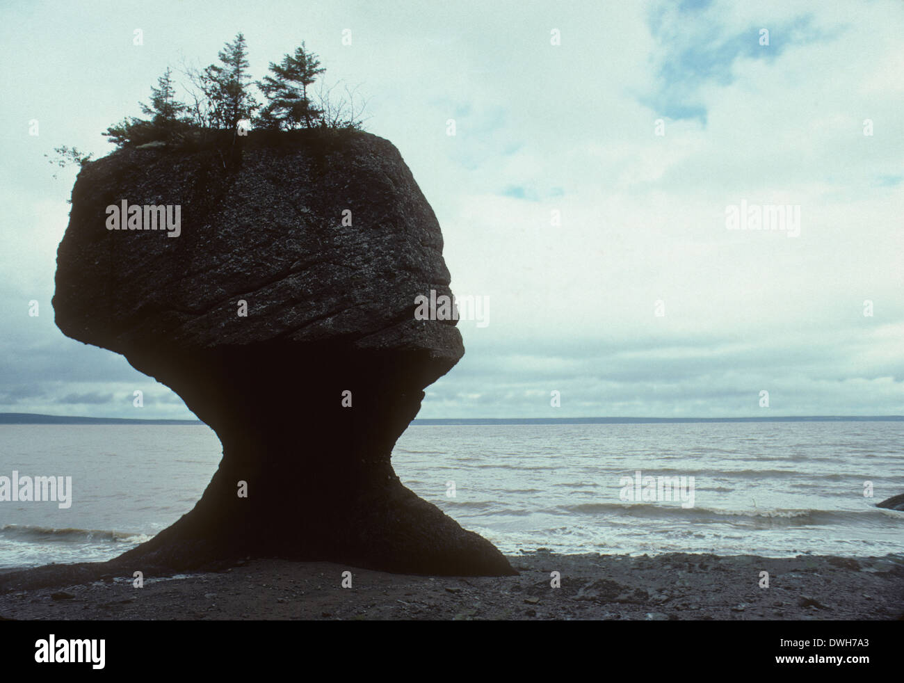 Tide sculpted Flowerpot rock, Hopewell Rocks, Bay of Fundy, New ...