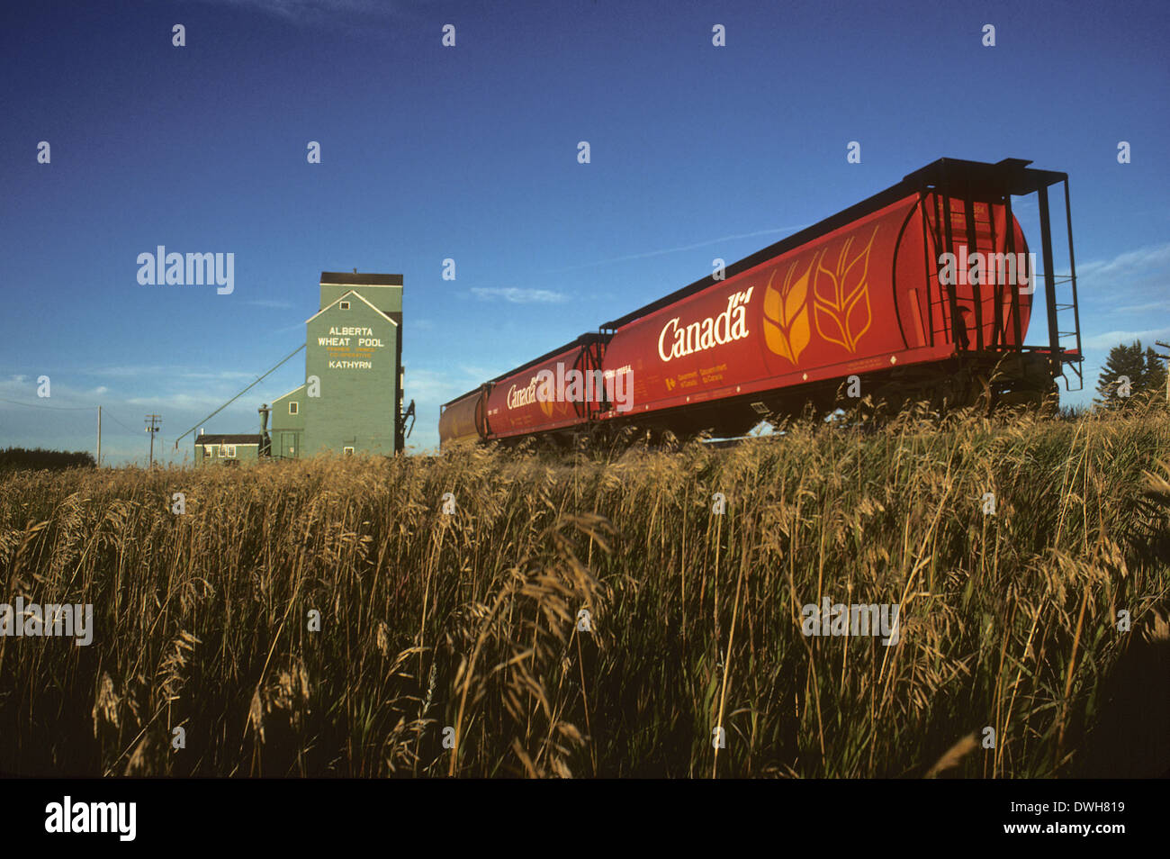 Grain car and grain elevator, Kathryn, Alberta, Canada Stock Photo - Alamy