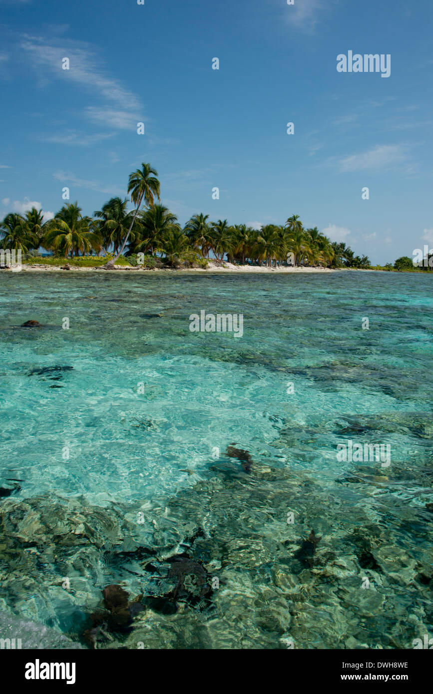Belize, Caribbean Sea, Stann Creek District near Placencia. Laughing ...