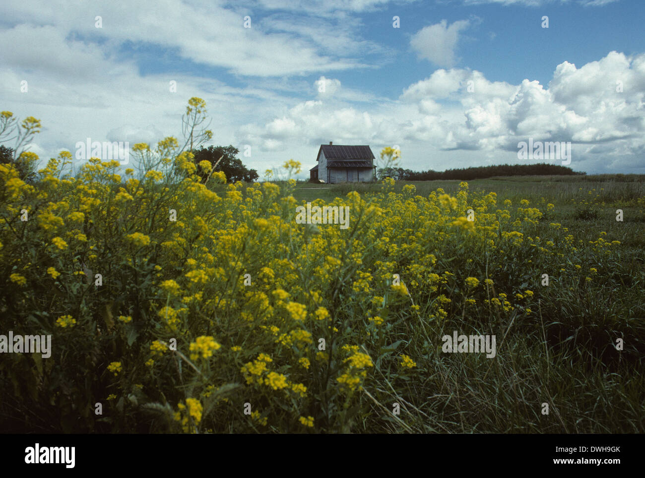 Jean Caron farmhouse, Batoche National Historic Park, Saskatchewan ...