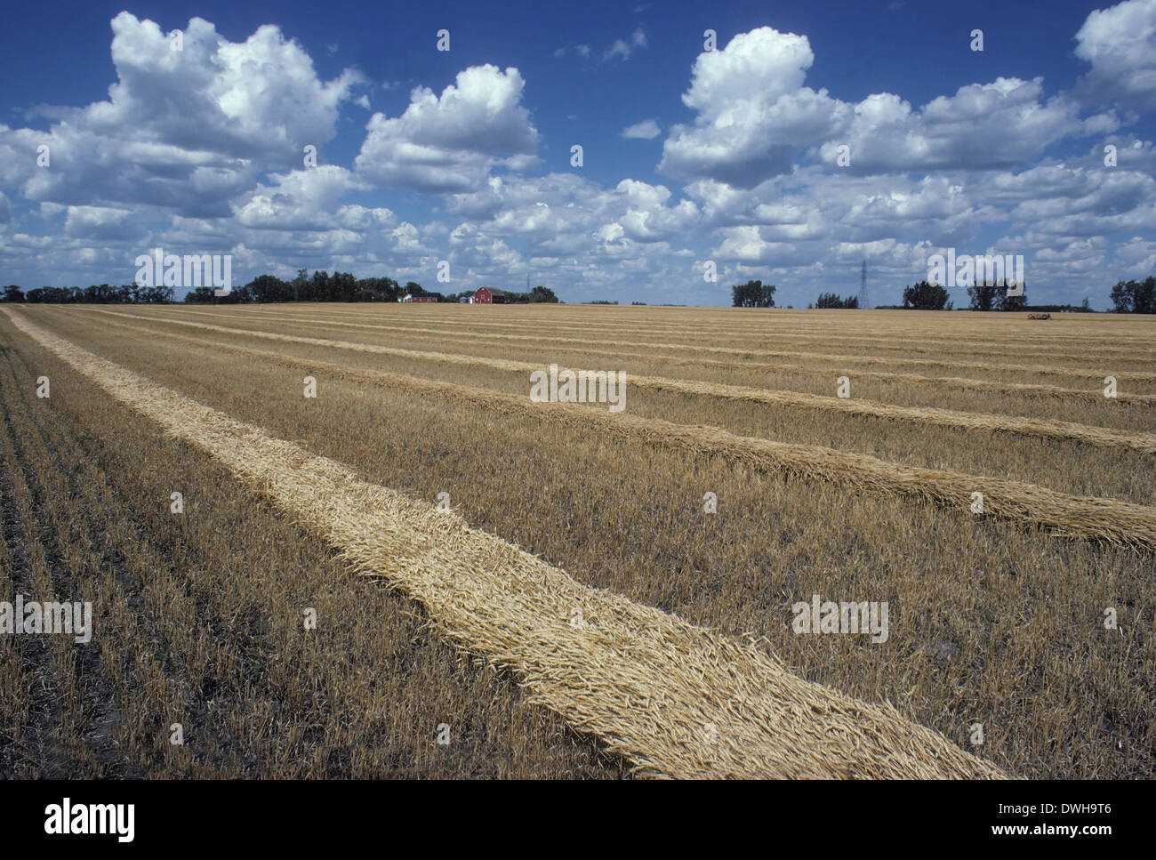 Virden hi-res stock photography and images - Alamy