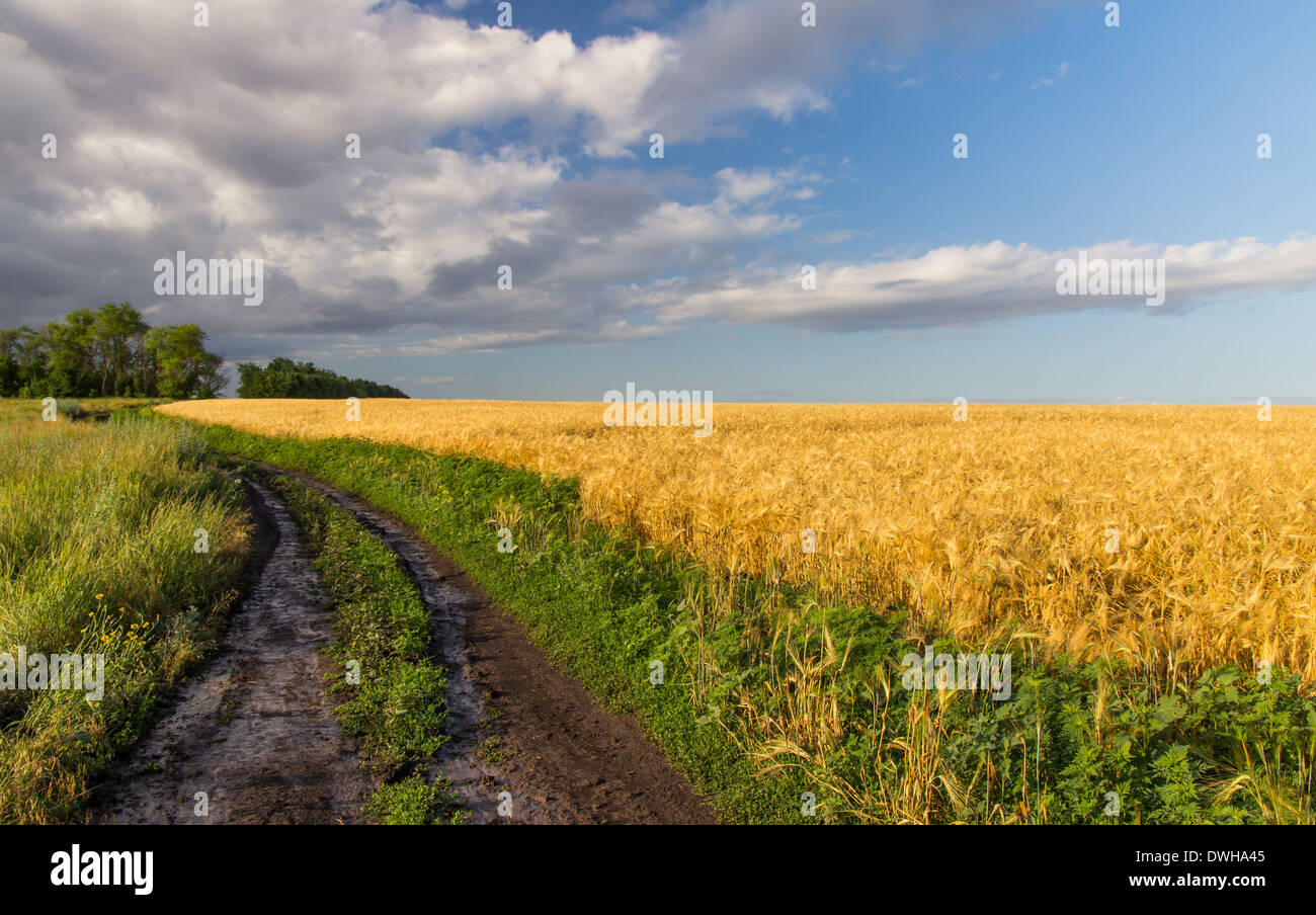 Blue fiend hi-res stock photography and images - Alamy