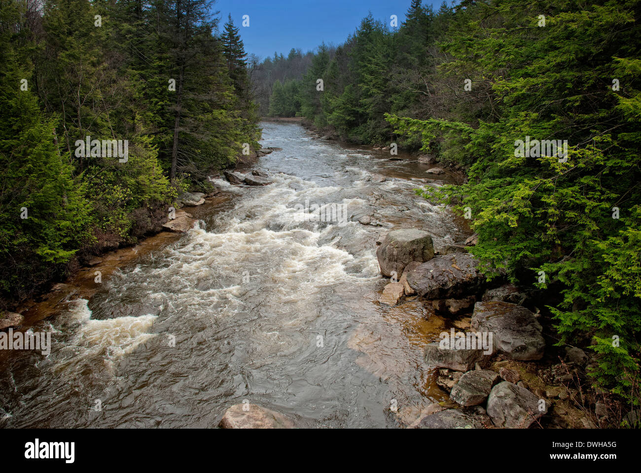 Blackwater river hi-res stock photography and images - Alamy