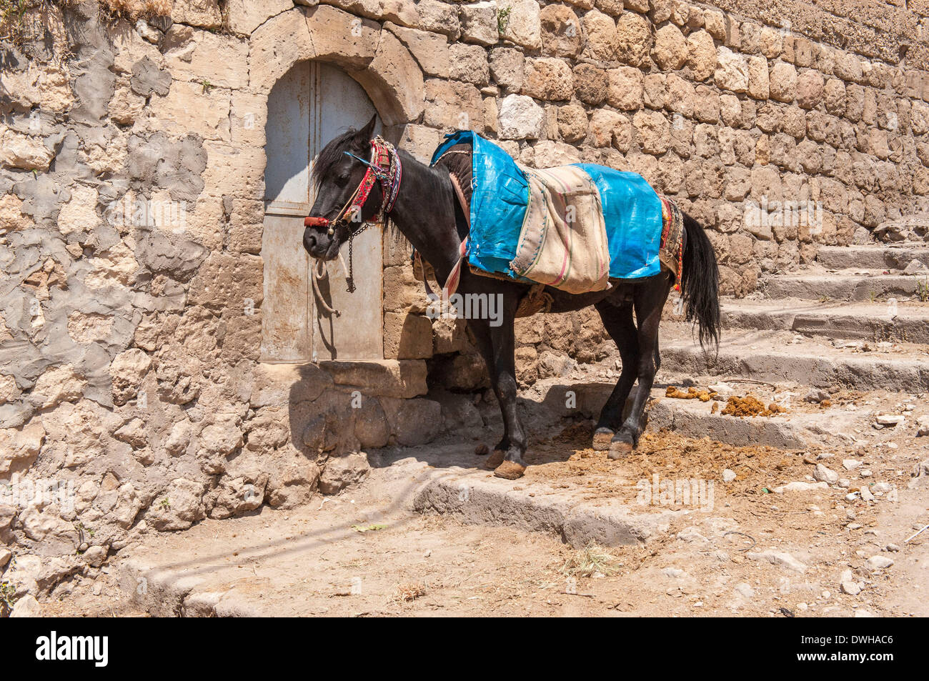 Horse stairs hi-res stock photography and images - Alamy