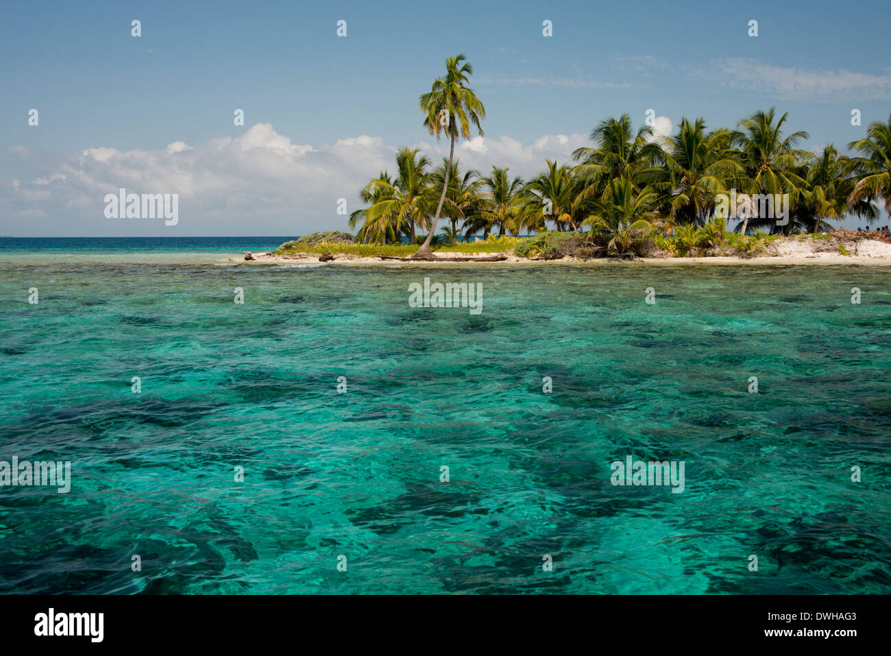 Belize, Caribbean Sea, Stann Creek District near Placencia. Laughing ...
